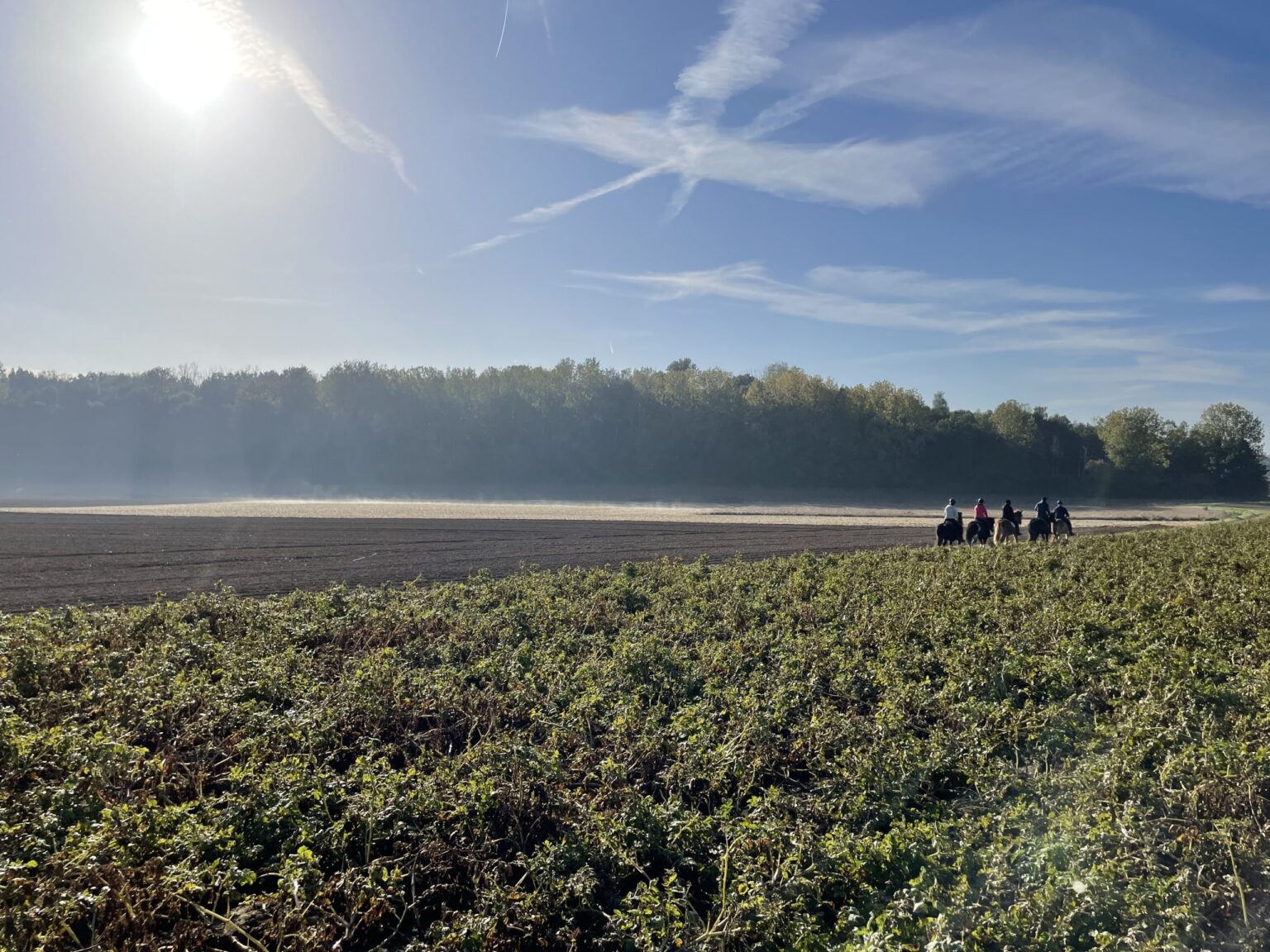 Olke Bolke I Begeleide paardenreizen